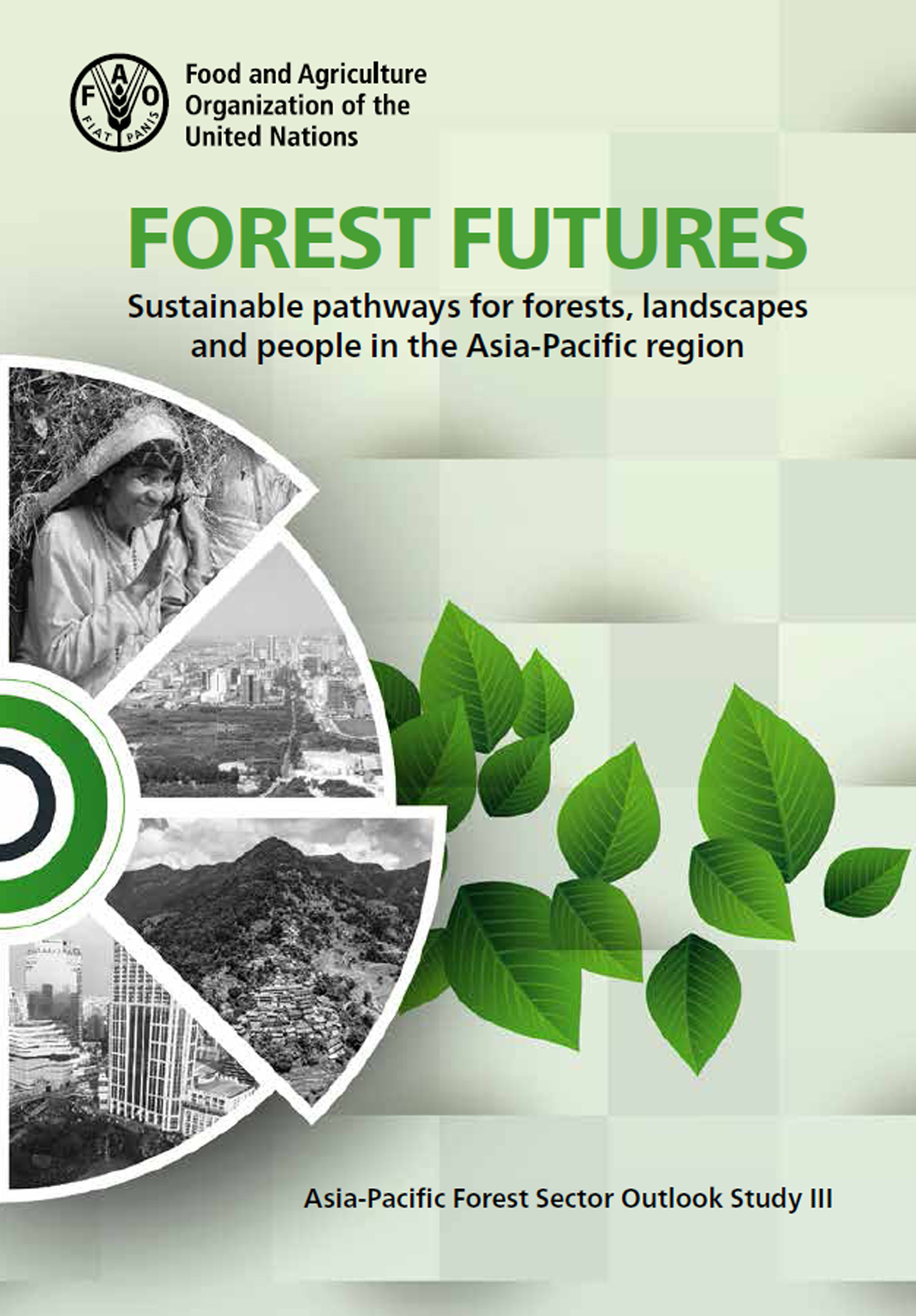 FAO. 2019. Forest Futures - Sustainable pathways for forests, landscapes and people in the Asia ...